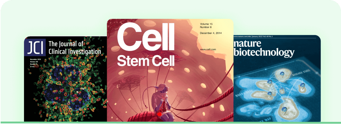 Manuscript Finalization Services: Research Paper Publication Support ...